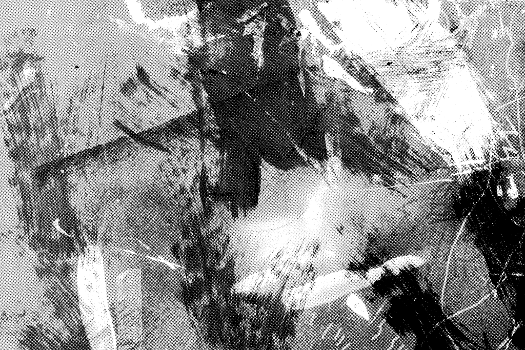 Home - Tango Gameworks